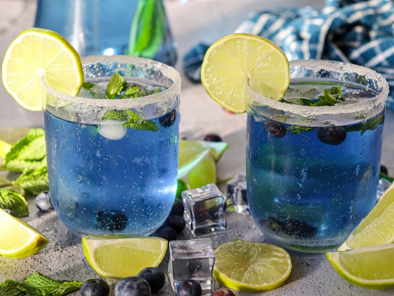 Blueberry Mojito Mocktail Recipe - Anuri's Kitchen